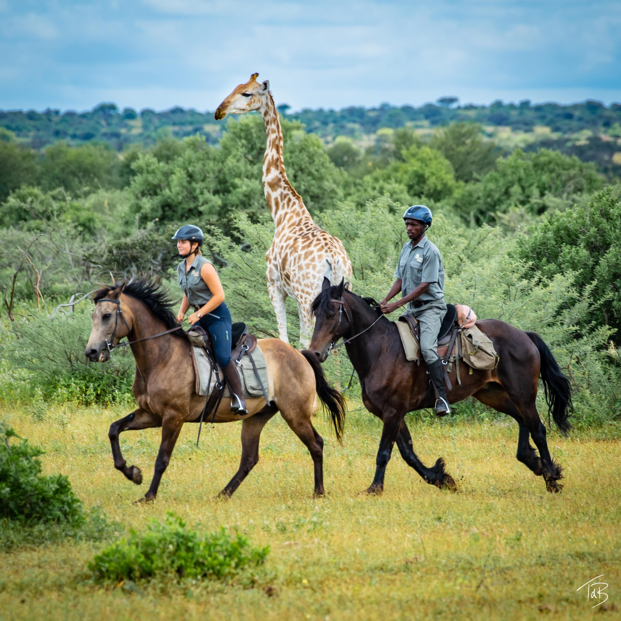 The Tuli Safari, Botswana - Horse Riding Holidays and Safaris