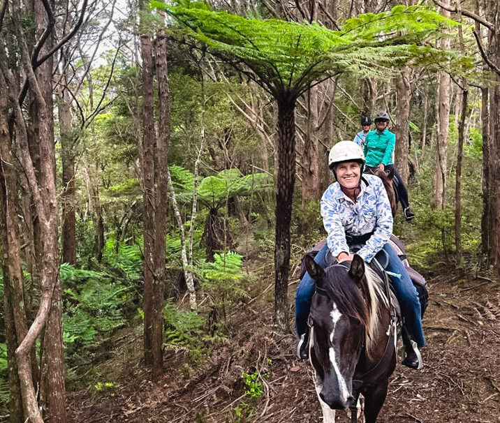 Jane Thompson - Horse Riding Holidays and Safaris