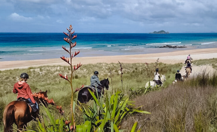 Tanya Limbrick - Horse Riding Holidays and Safaris