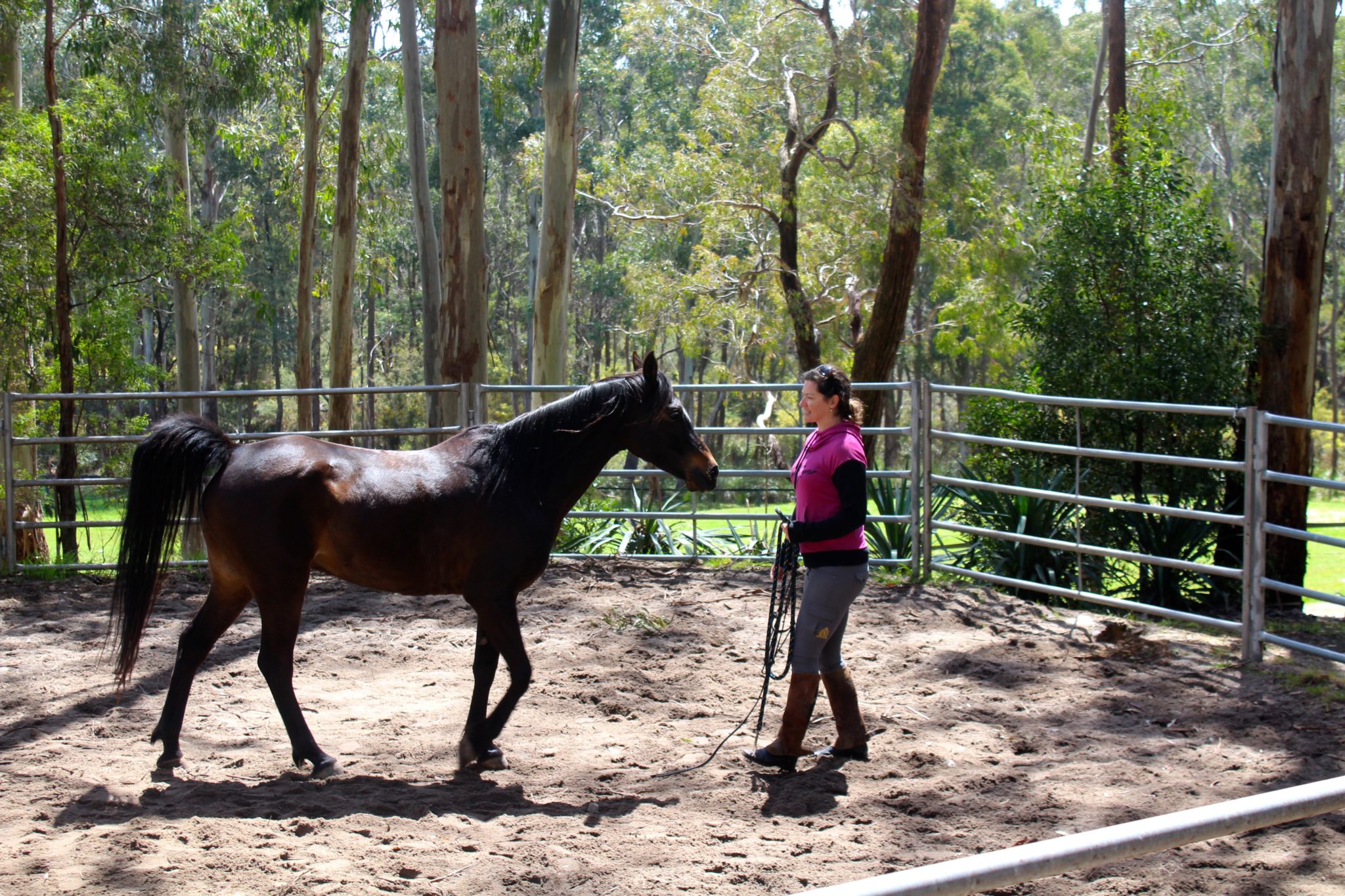 Jennifer Wray - Horse Riding Holidays and Safaris