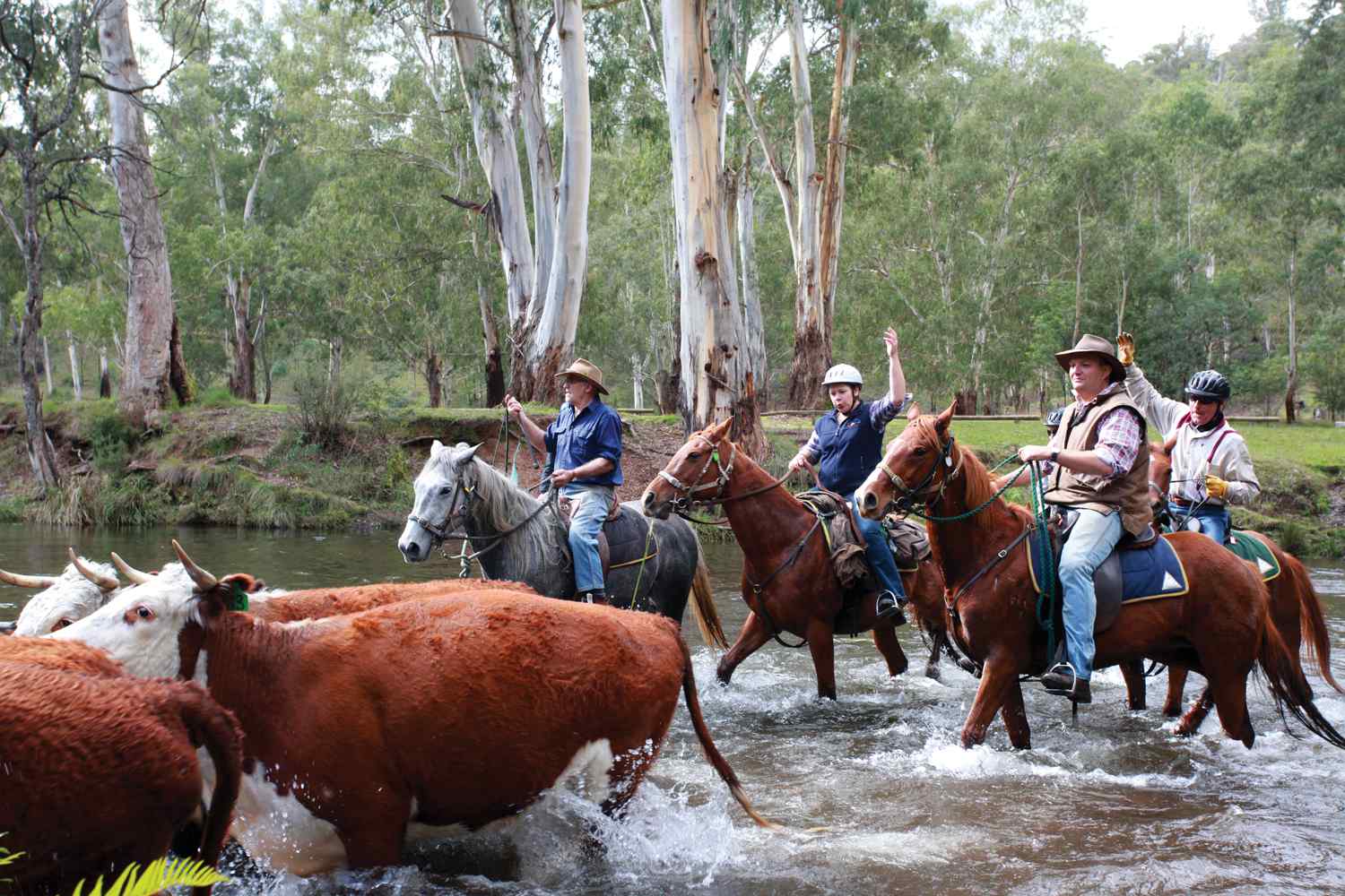 Man from Snowy River, Victoria, Australia | Horse Riding Holidays and ...
